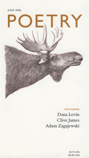 We're Building the Ship as We Sail It by Kay Ryan | Poetry Magazine