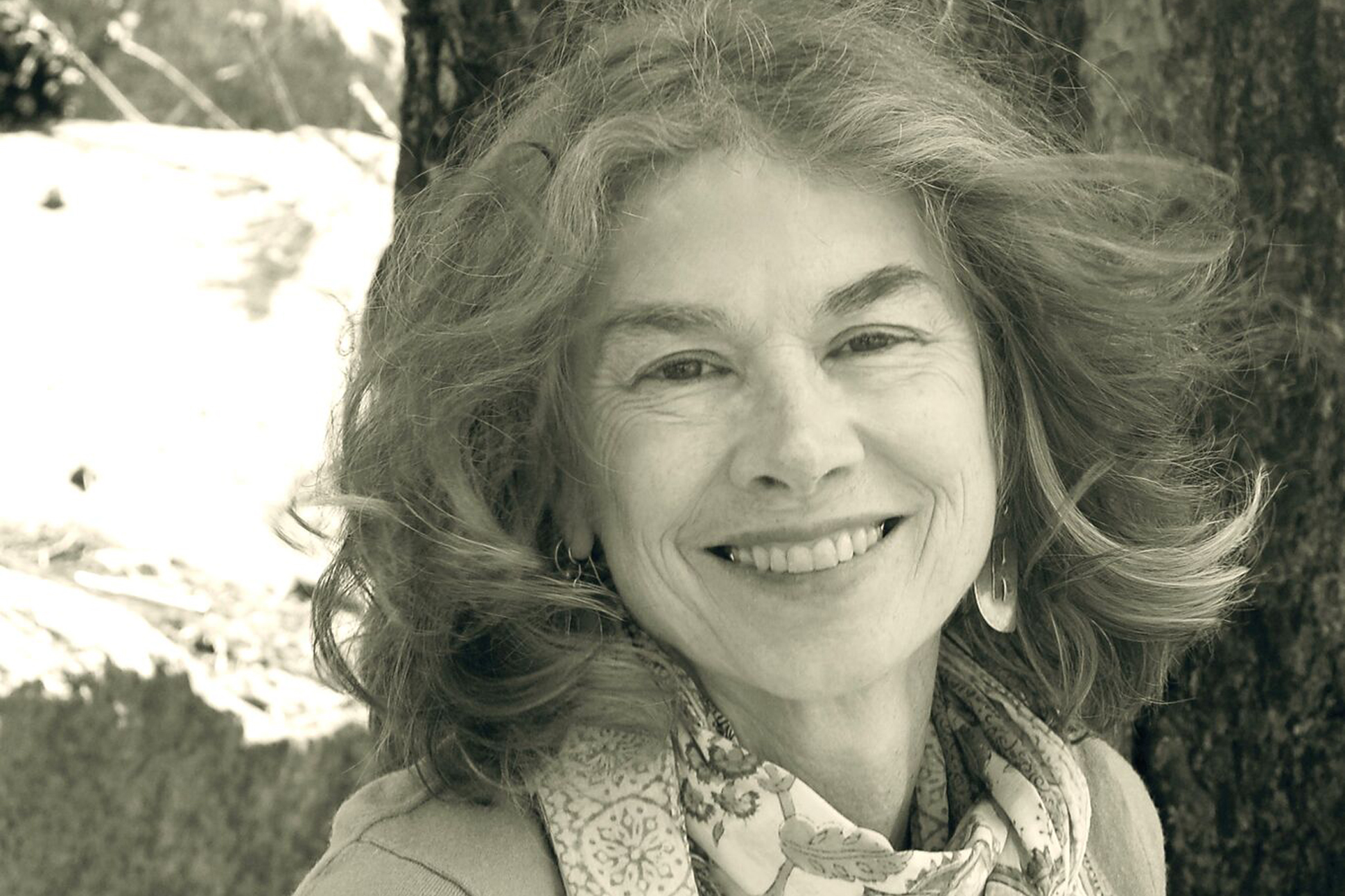 Brenda Hillman | Poetry Foundation