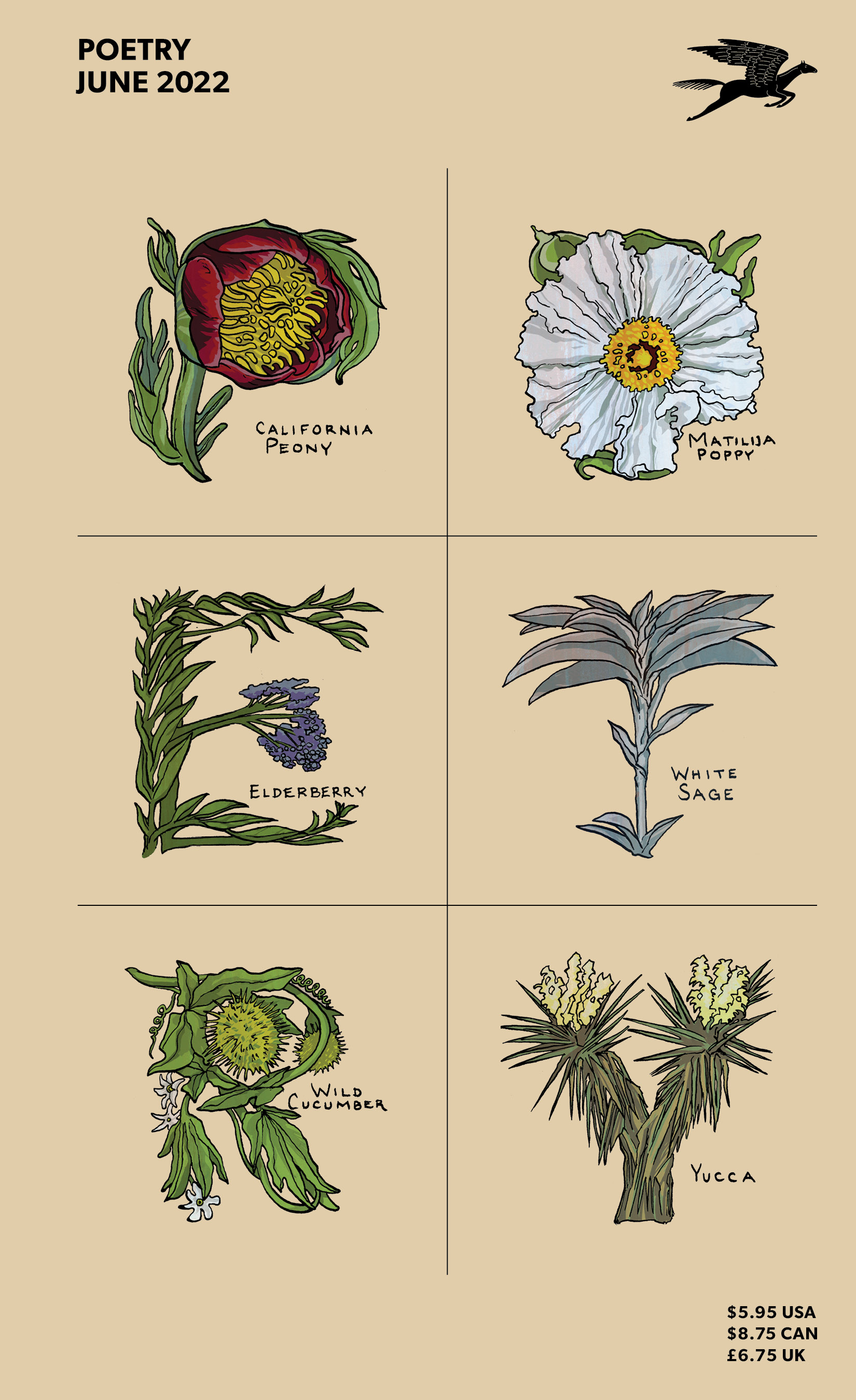 Dear Reader, by Esther Belin | Poetry Magazine