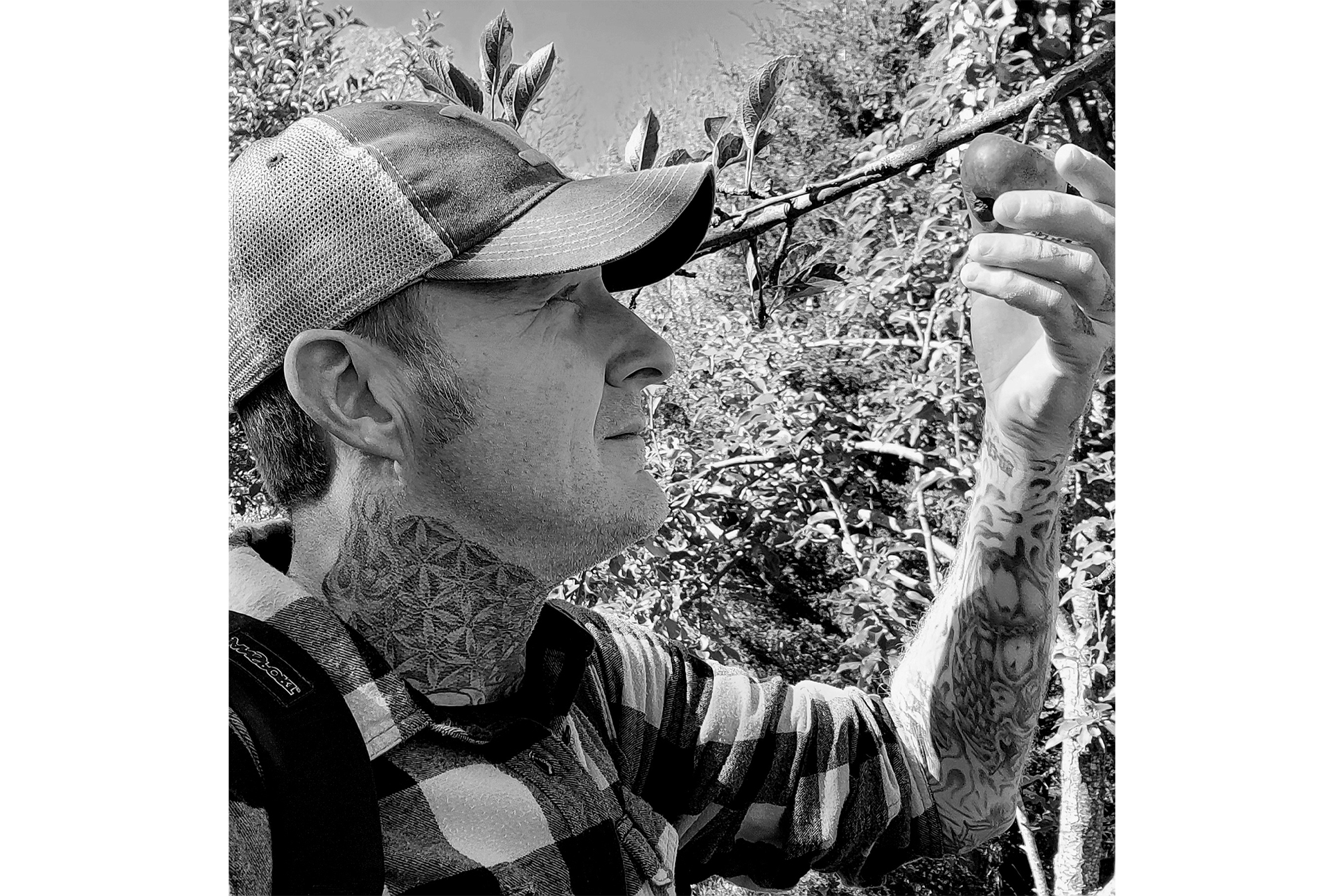 Lime Tree by Jason Adam Sheets | Poetry Magazine