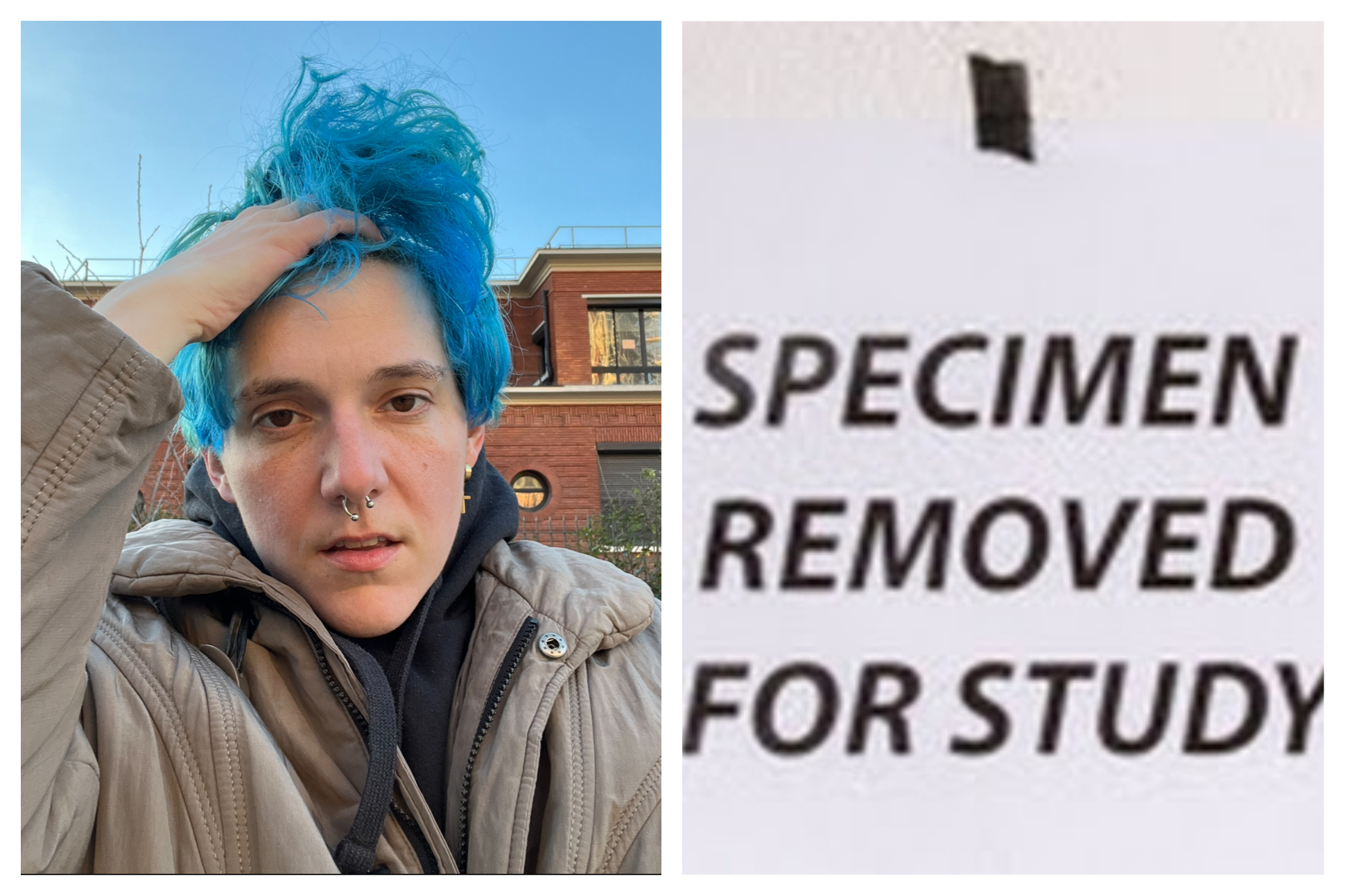 Immutable, later: Ulrich Jesse K Baer + olivier | Poetry Foundation